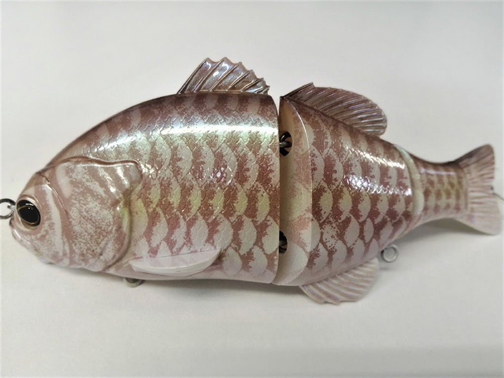 Fishing Shop Ballarat, Victoria — H Rehfisch & Co